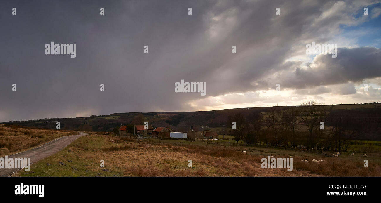Littlebeck hi-res stock photography and images - Alamy