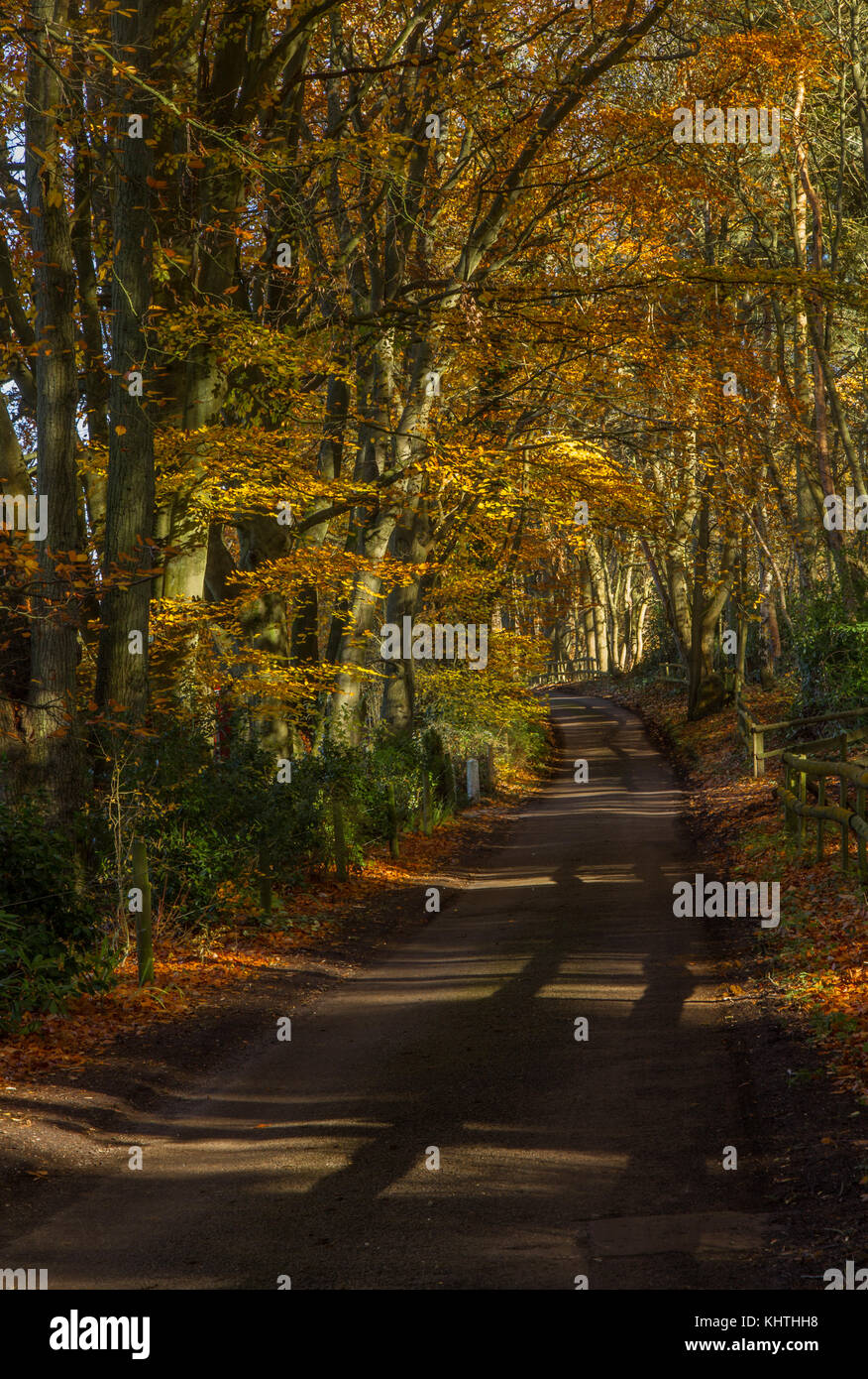 Autumnal canal reflections Stock Photo - Alamy Autumnal canal reflections Stock Photo - Alamy