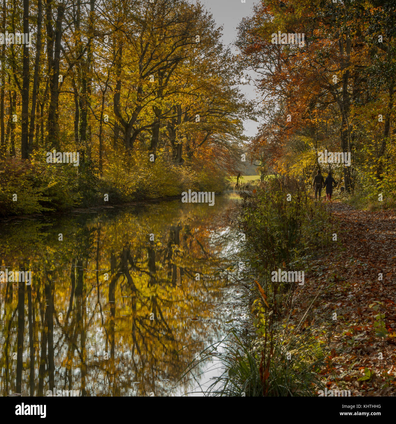 Autumnal canal reflections Stock Photo - Alamy Autumnal canal reflections Stock Photo - Alamy