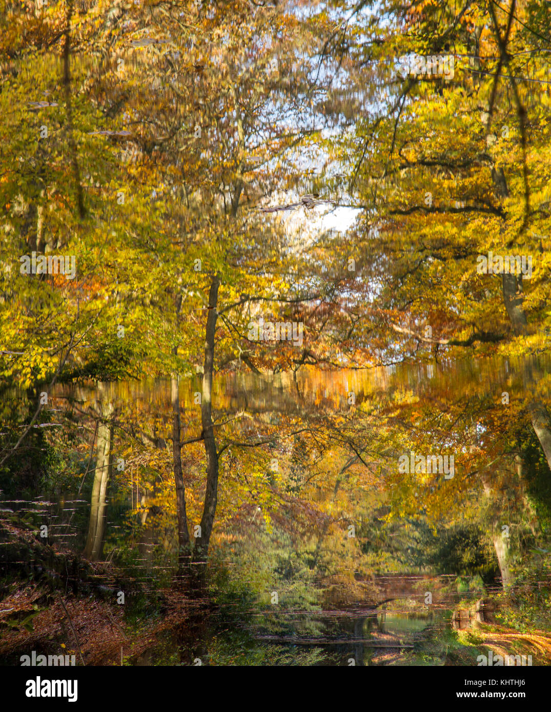 Autumnal canal reflections Stock Photo - Alamy Autumnal canal reflections Stock Photo - Alamy