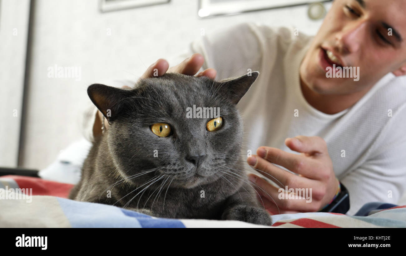 Handsome Young Animal-Lover Man on a Bed, Hugging and Cuddling his Gray ...