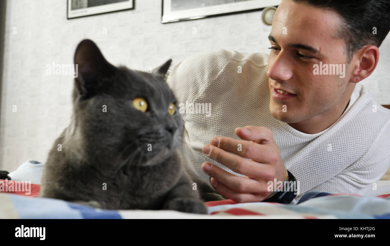 Handsome Young Animal-Lover Man on a Bed, Hugging and Cuddling his Gray ...