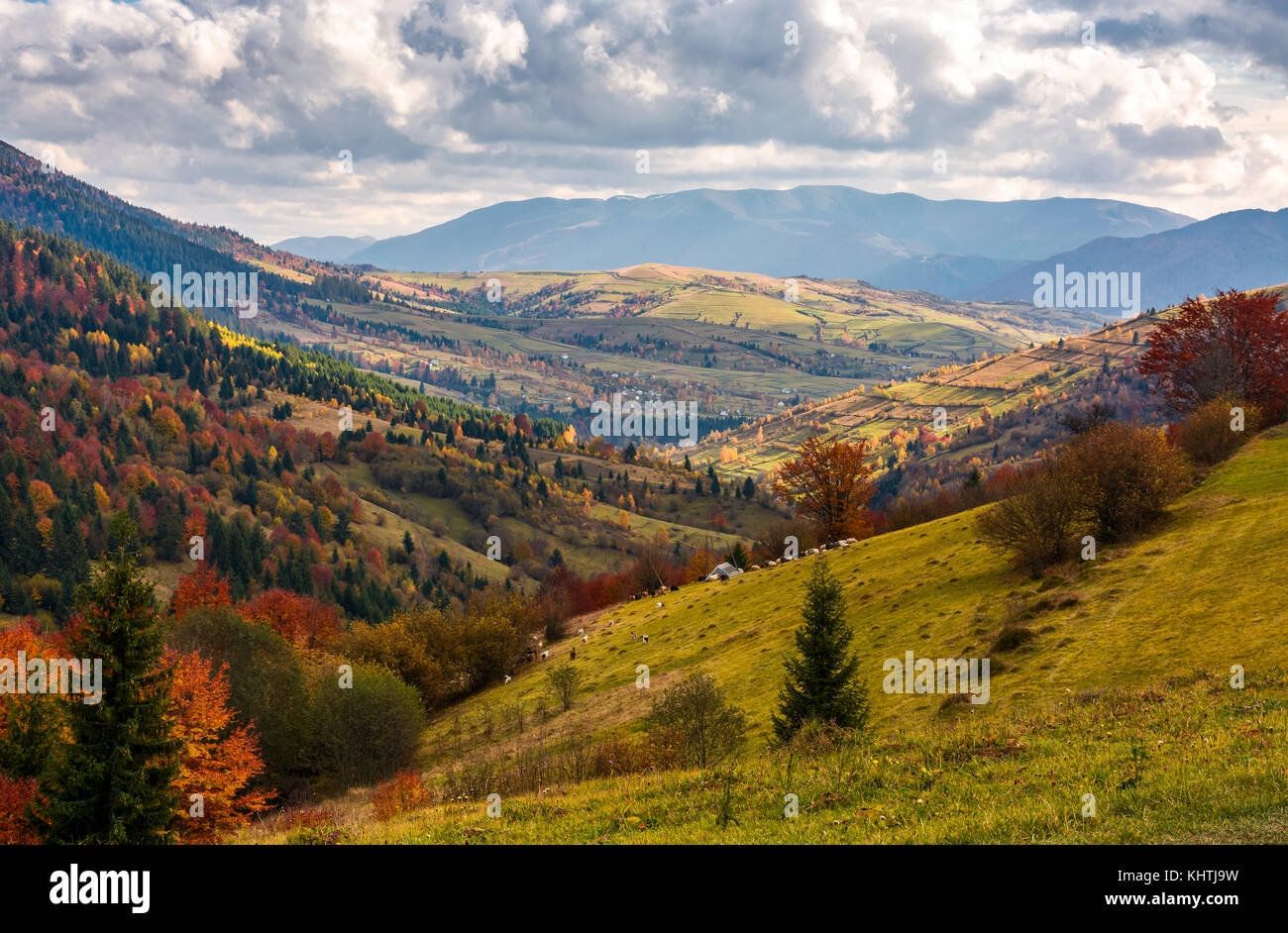 rural countryside in autumn. beautiful scenery in mountains with cloudy ...