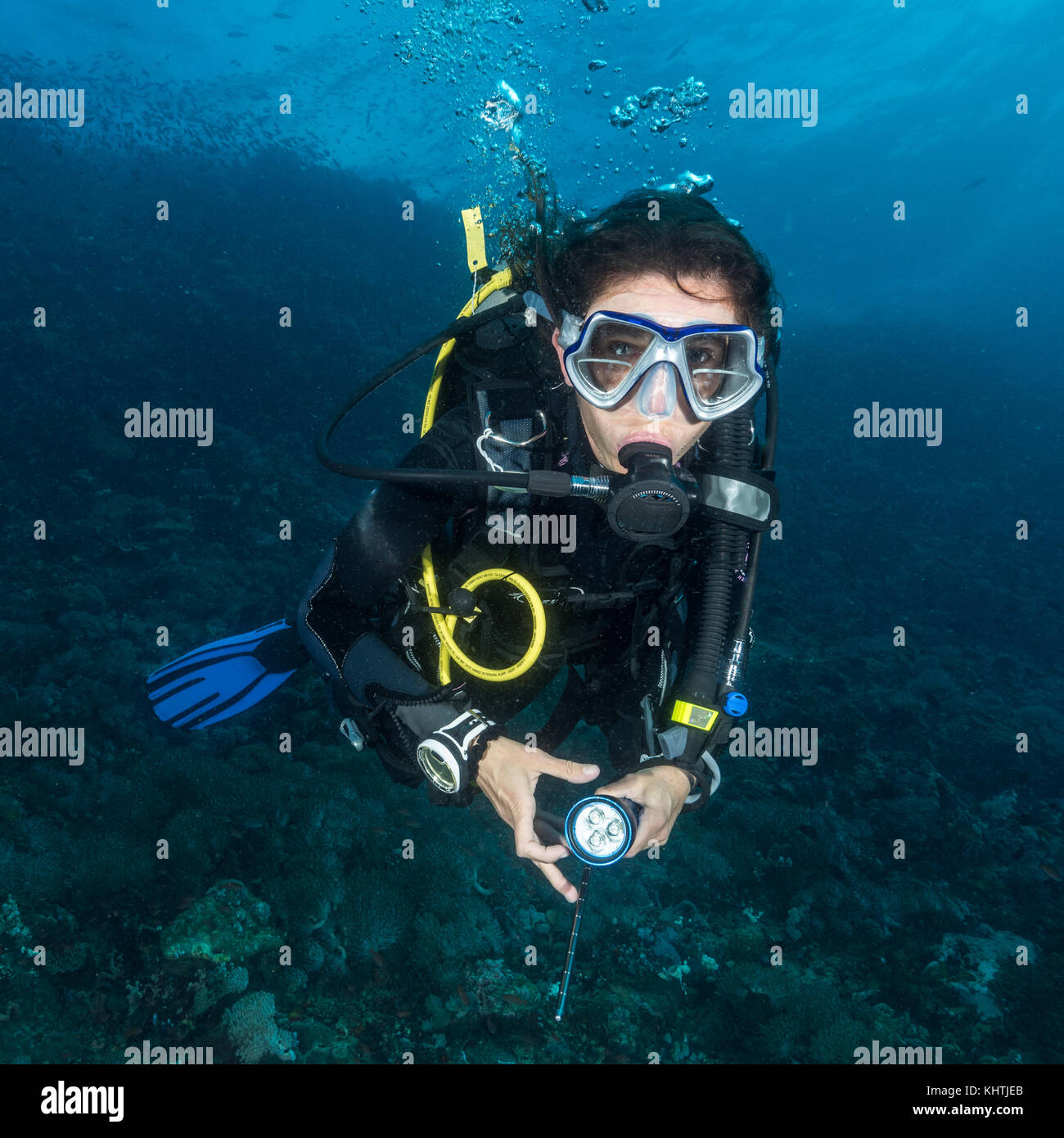Woman scuba diving hi-res stock photography and images - Alamy