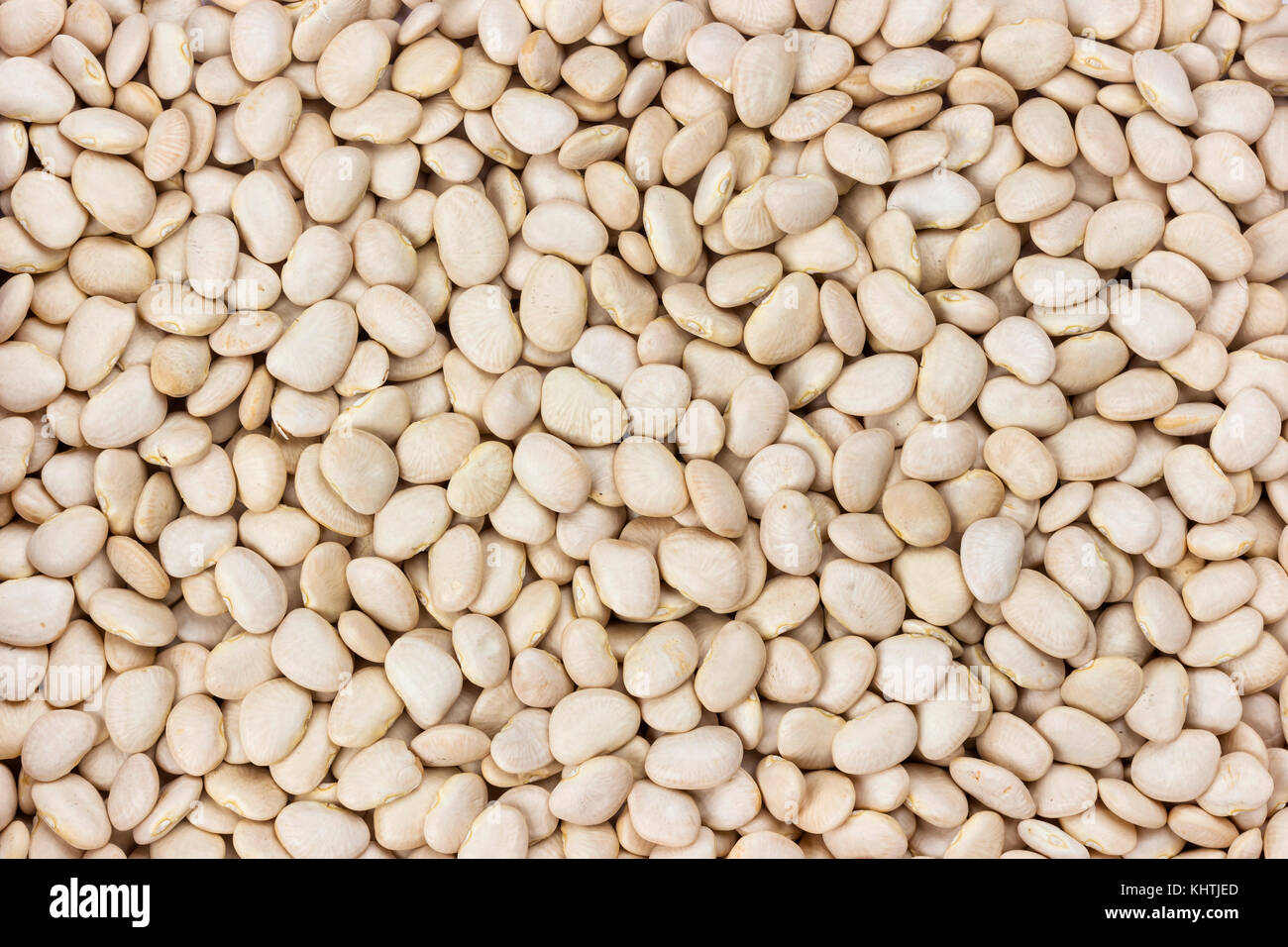 White kidney beans background. Dry legumes texture Stock Photo - Alamy