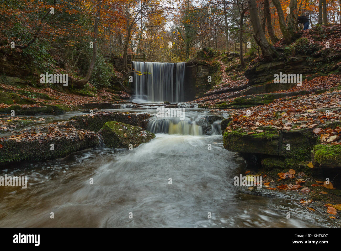 Autumn colours in the woods at Nant Mill, wales Stock Photo - Alamy