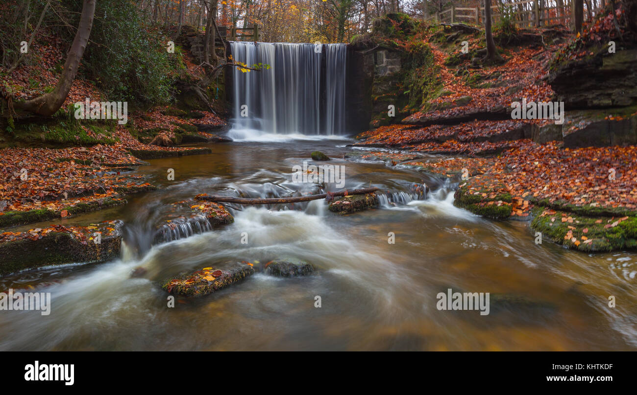 Autumn colours in the woods at Nant Mill, wales Stock Photo - Alamy