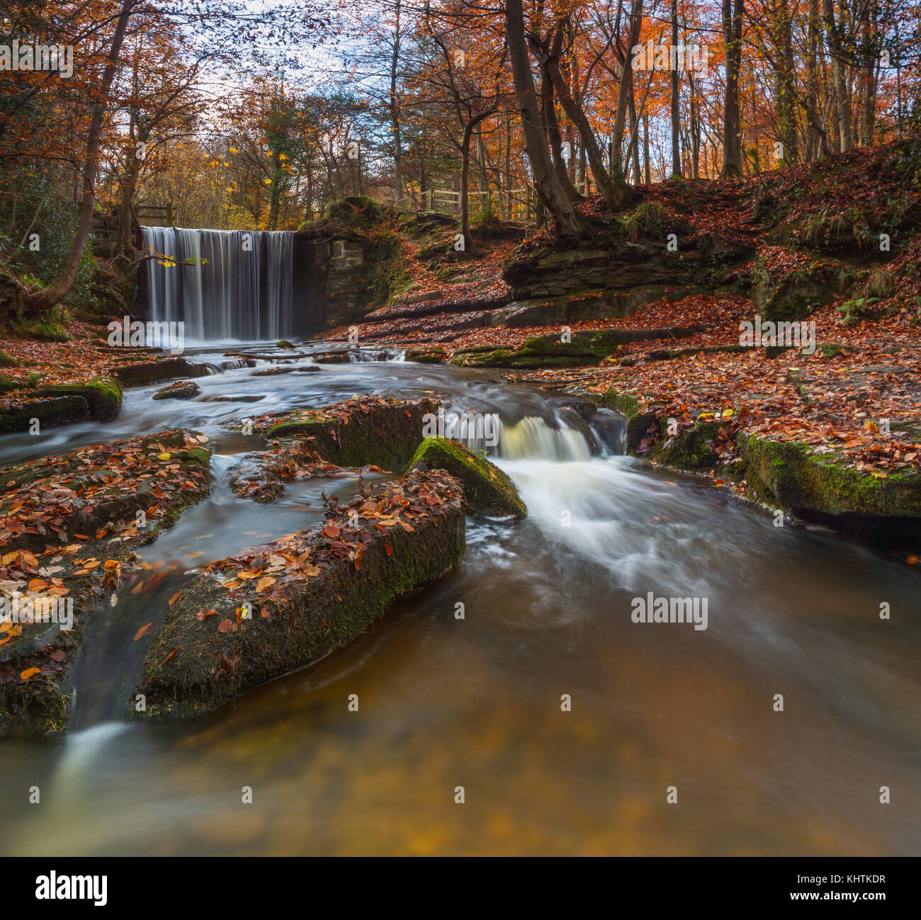 Autumn colours in the woods at Nant Mill, wales Stock Photo - Alamy