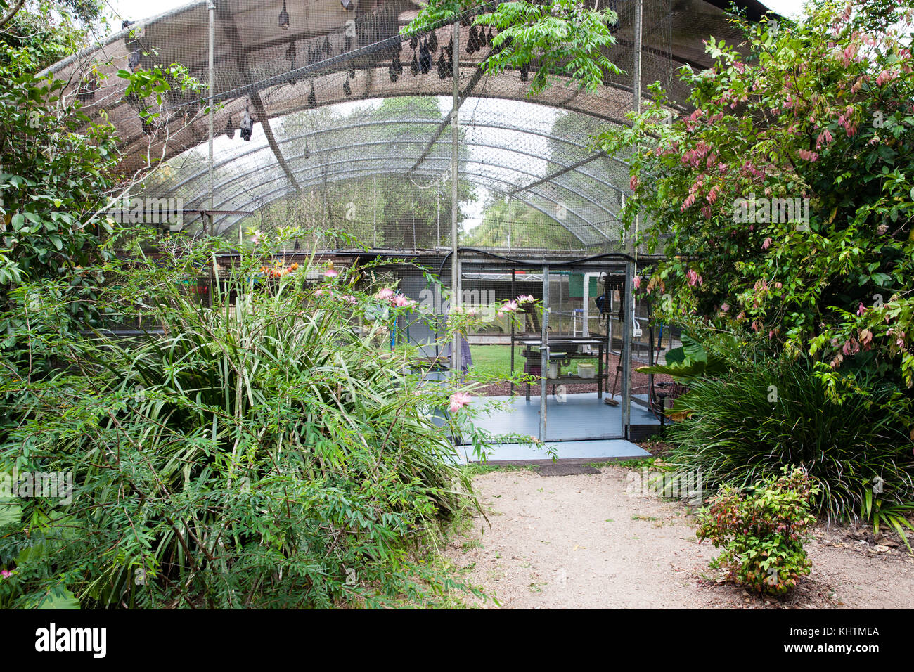 Tolga Bat Hospital. Large flight cage. Carrington. Atherton Tablelands ...