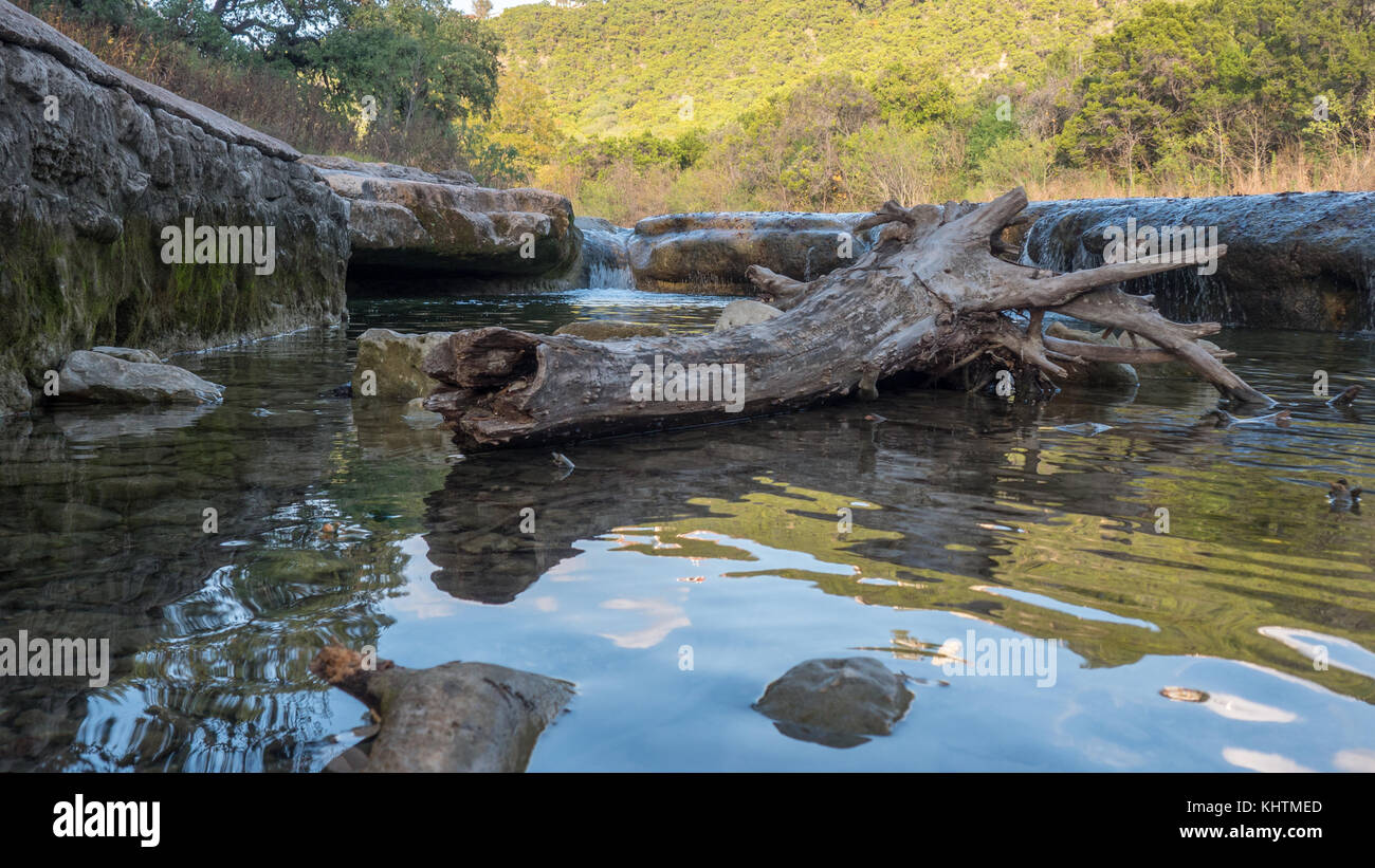 View of Large Tree Trunk On Water With Waterfall behind it Stock Photo ...