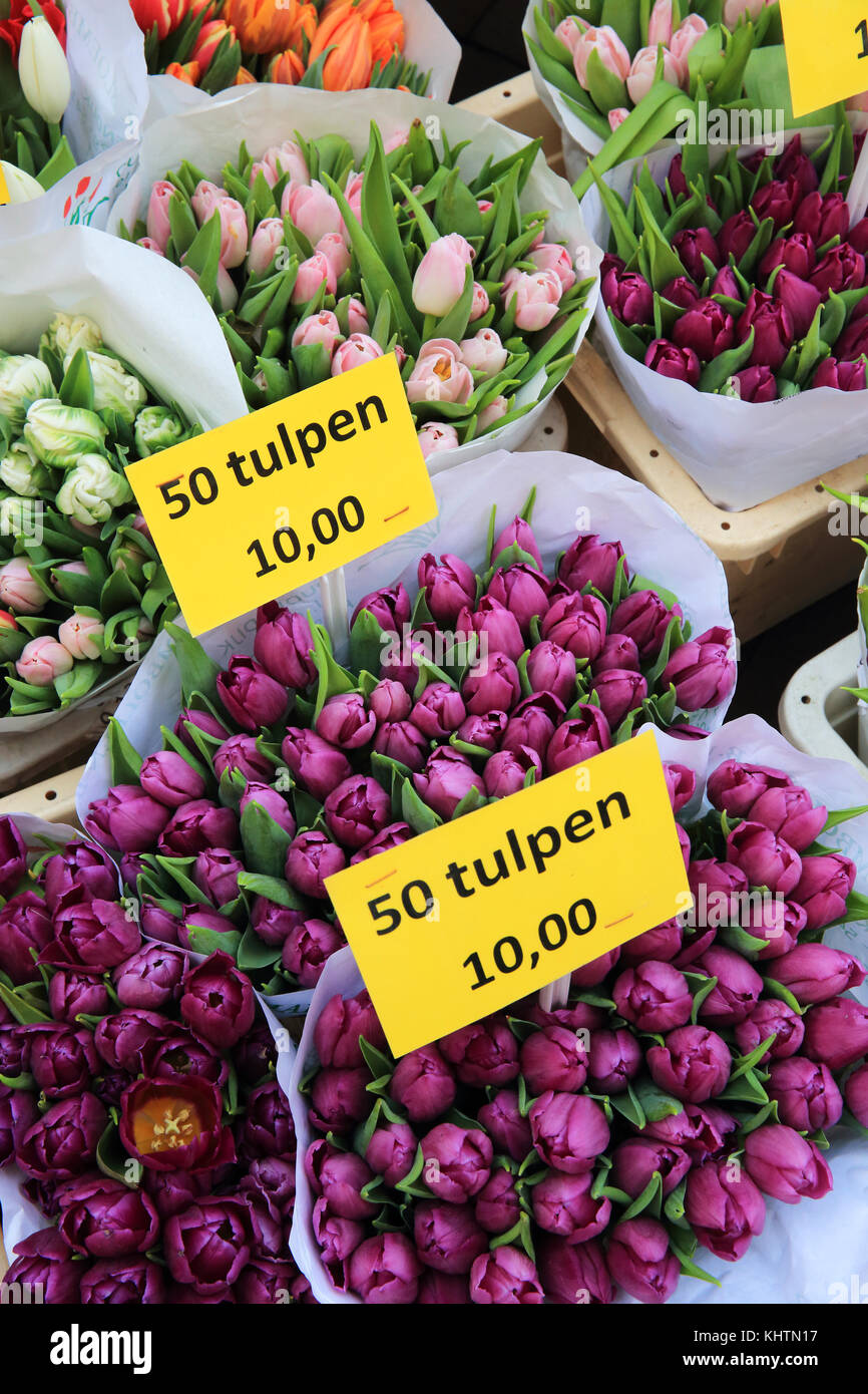 Tulips for sale at the world famous floating flower market on the ...