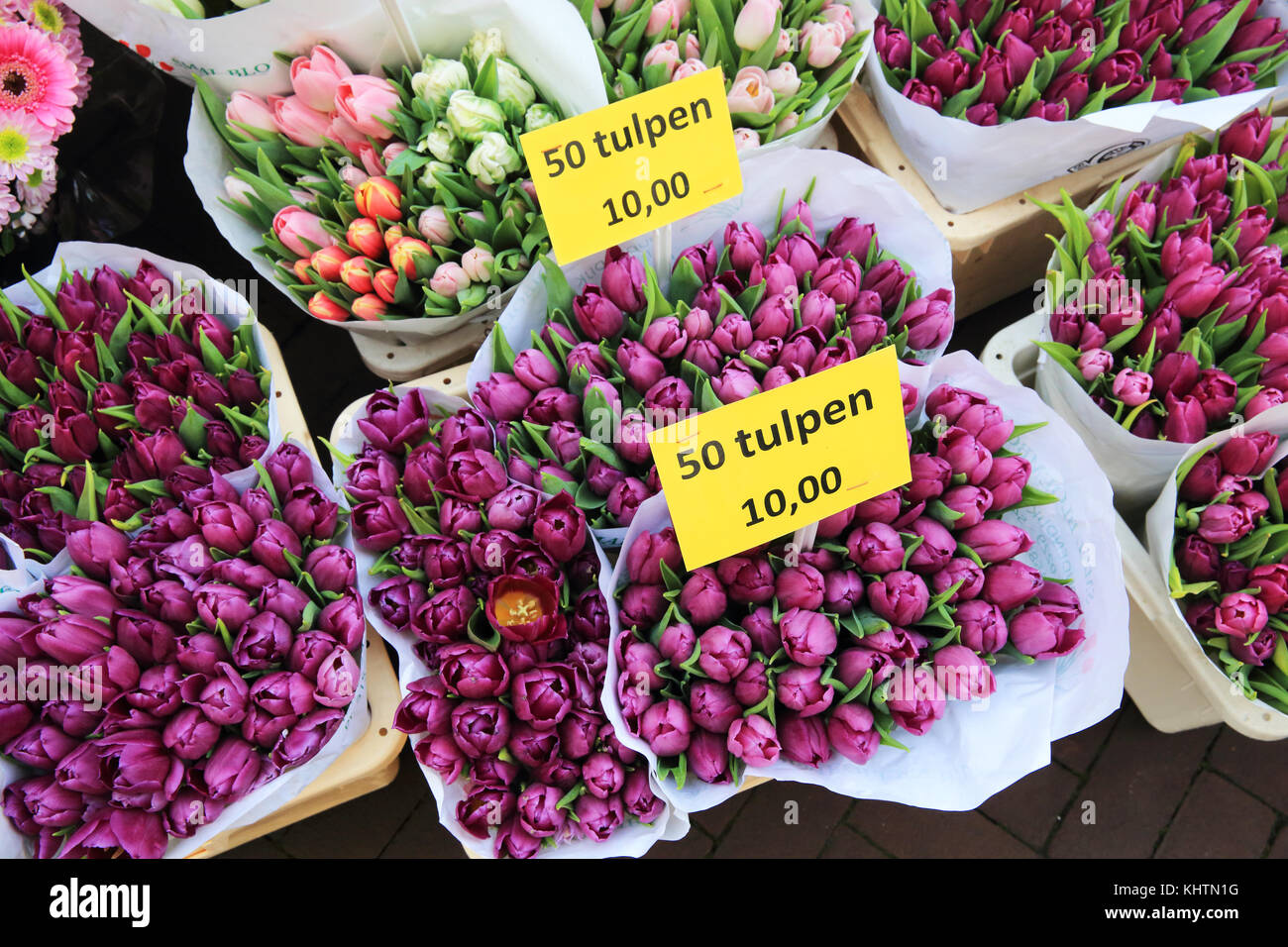 Tulips for sale at the world famous floating flower market on the ...