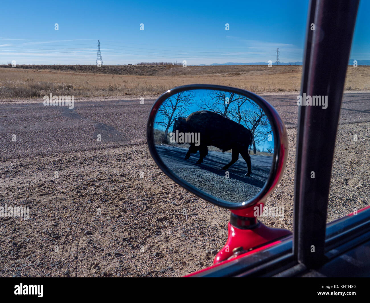 Bison in the mirror, autumn, Rocky Mountain Arsenal National Wildlife ...
