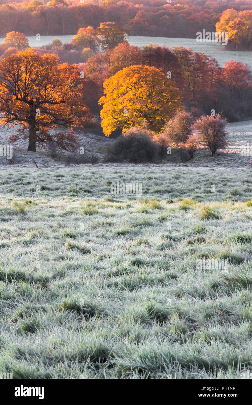 The rolling fields of Eridge Green on Kent East sussex border. An early ...