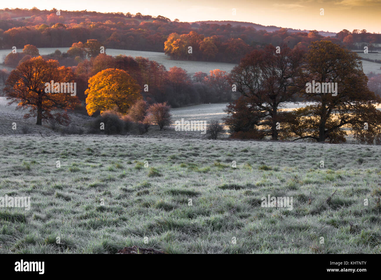 The rolling fields of Eridge Green on Kent East sussex border. An early ...