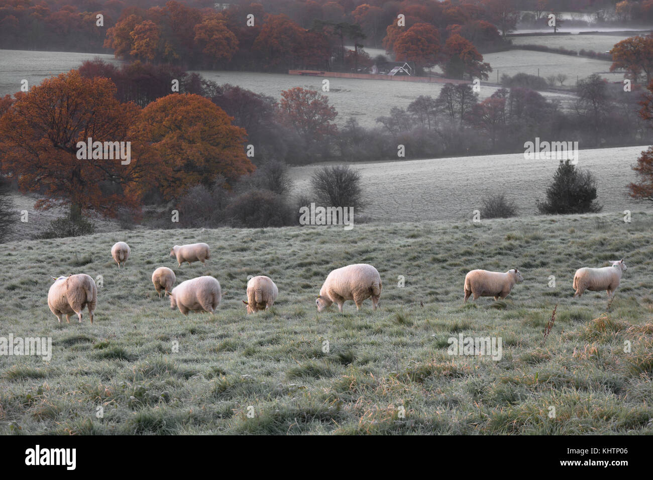 The rolling fields of Eridge Green on Kent East sussex border. An early ...