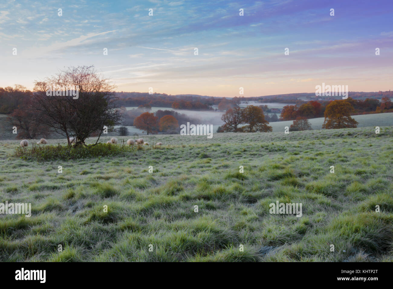 The rolling fields of Eridge Green on Kent East sussex border. An early ...