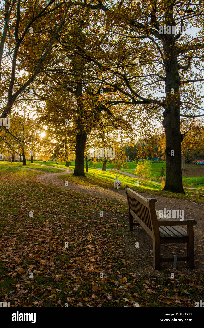 Grosvenor Park & Hilbert Recreation Ground in Tunbridge Wells - The ...