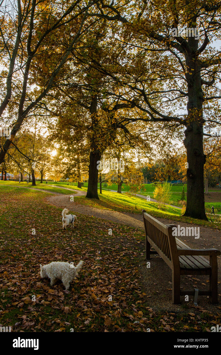 Grosvenor Park & Hilbert Recreation Ground in Tunbridge Wells - The ...