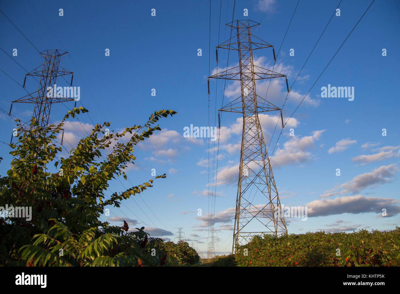 electric pole in sunset Stock Photo - Alamy