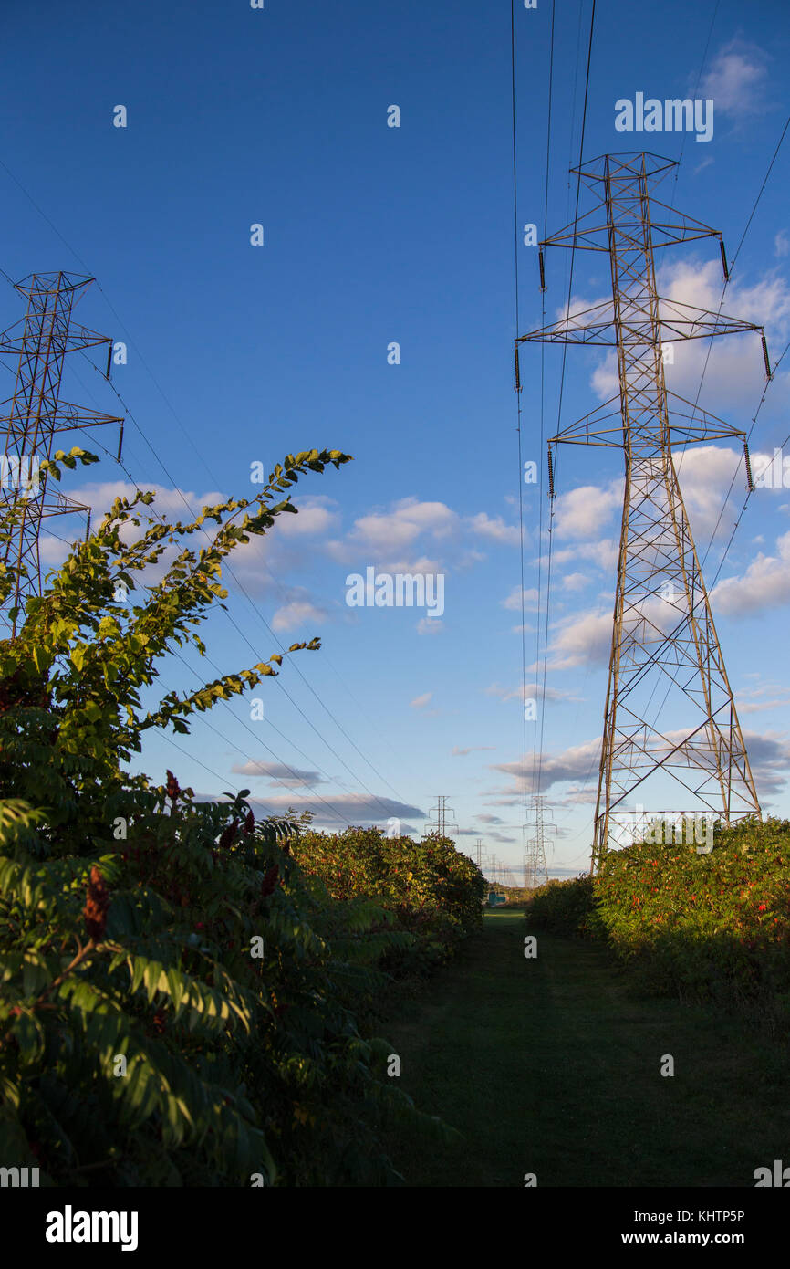 electric pole in sunset Stock Photo - Alamy