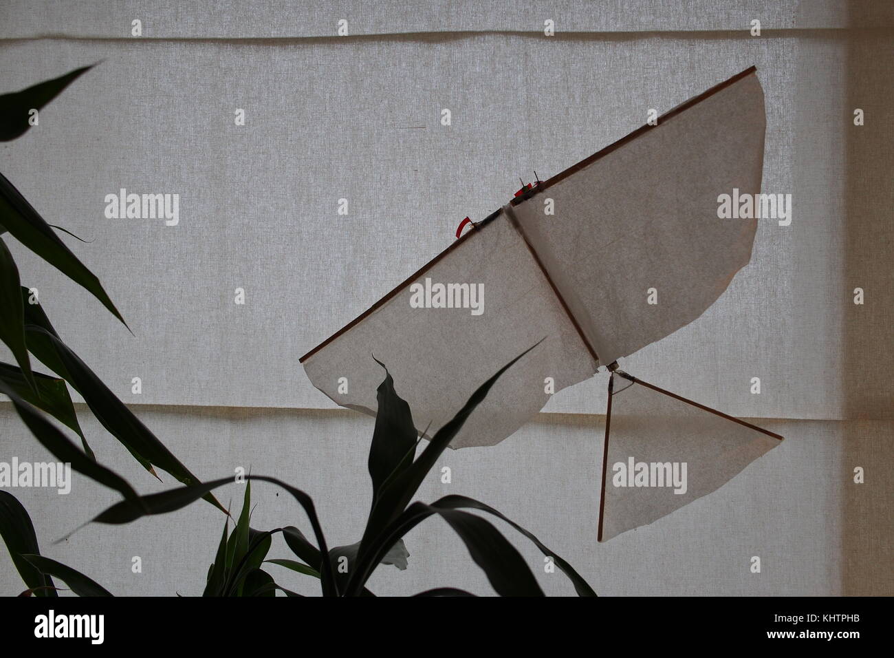 How To Make A Ornithopter