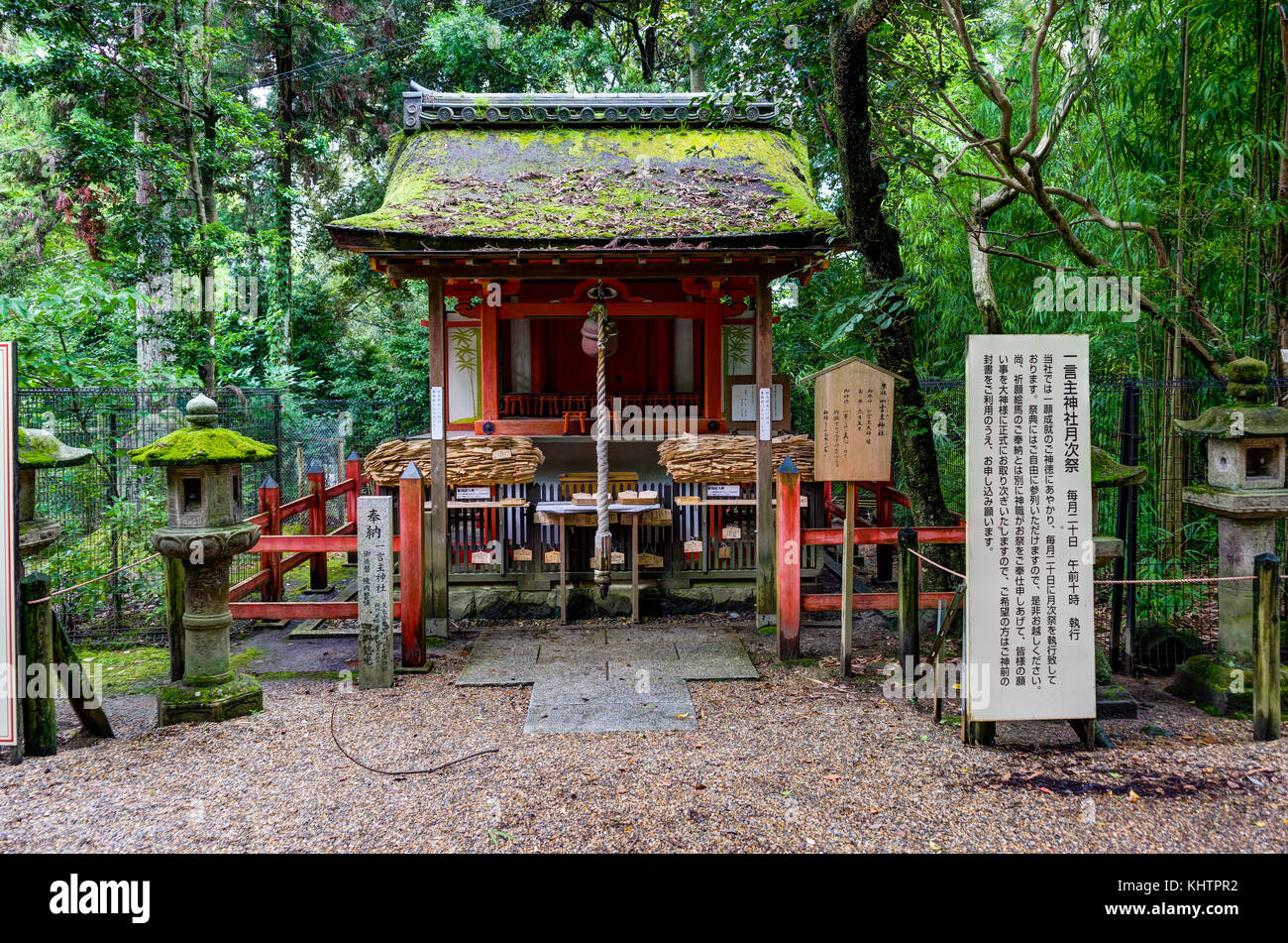 Orange Temple between trees in Nara Japan Stock Photo - Alamy