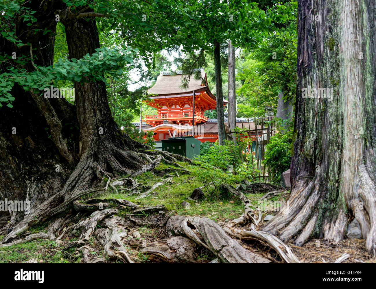 Orange Temple between trees in Nara Japan Stock Photo - Alamy
