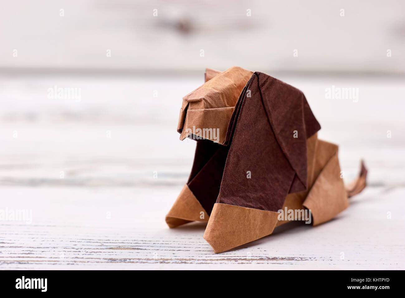 3d Origami Lion Instructions