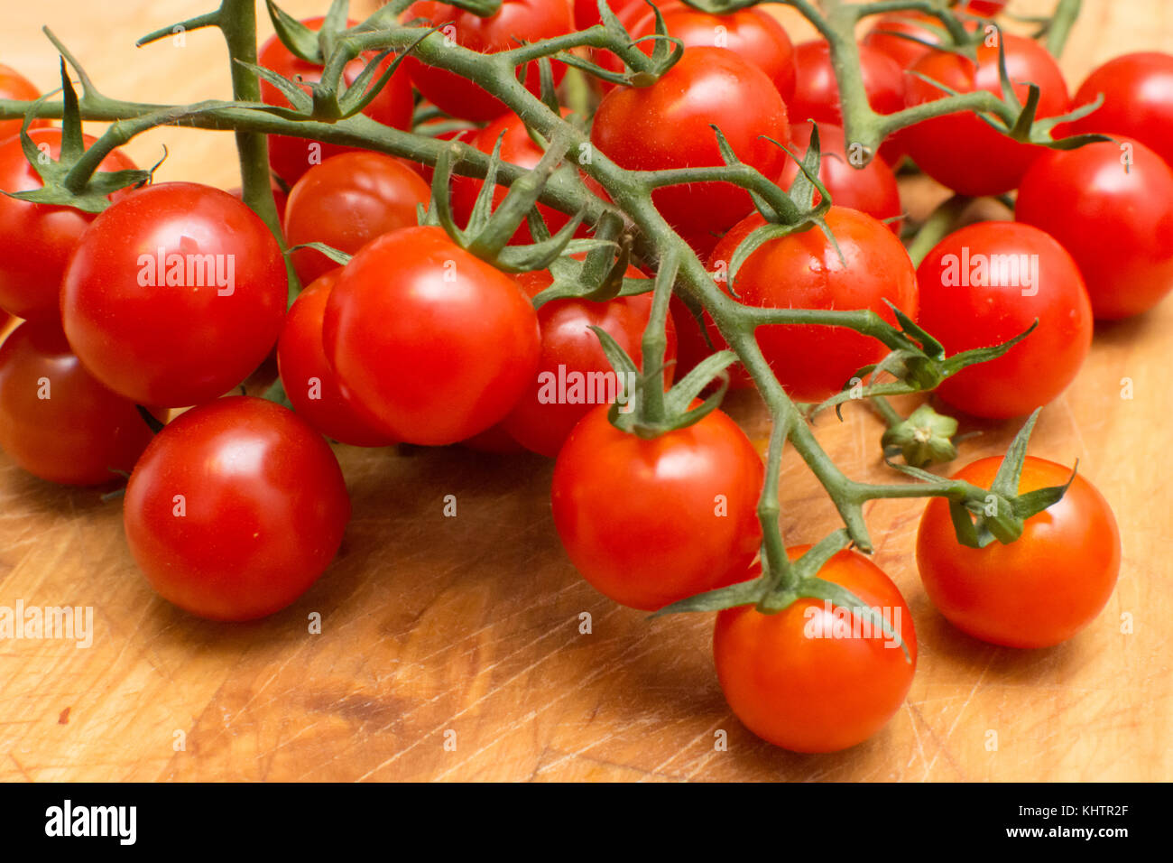 Fresh and ripe vine tomatoes, tomato on the vine Stock Photo - Alamy