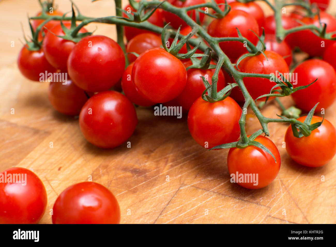 Fresh and ripe vine tomatoes, tomato on the vine Stock Photo - Alamy