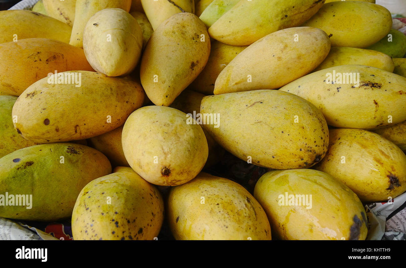 Sweet mango fruits at the rural market in Bangkok, Thailand Stock Photo ...