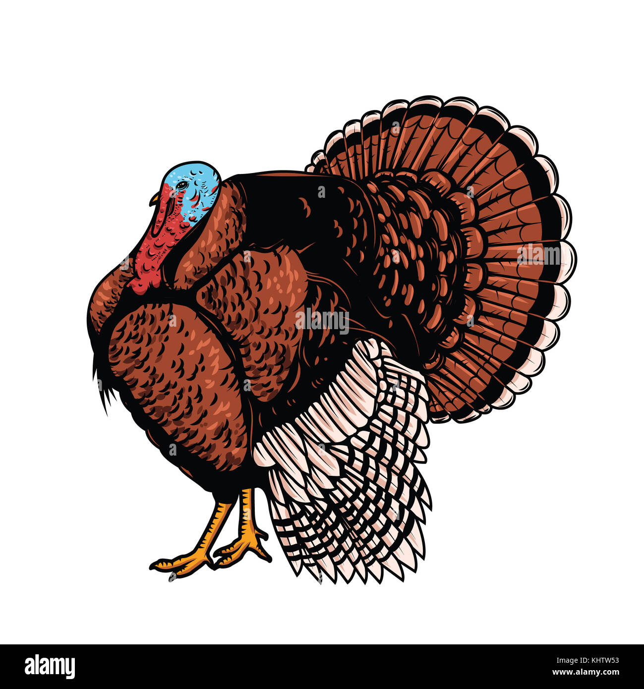 Cartoon illustration funny comic turkey High Resolution Stock ...