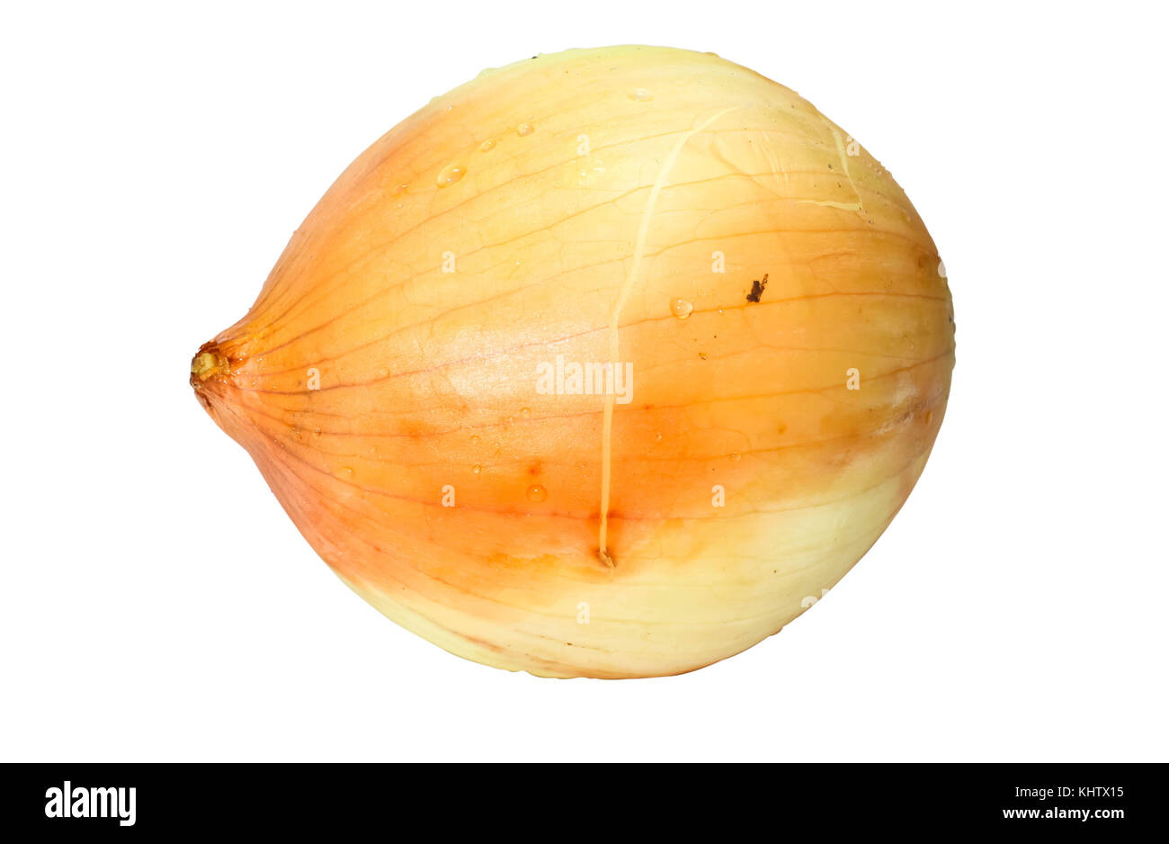 Closeup Single Fresh onion isolated on white background Stock Photo - Alamy
