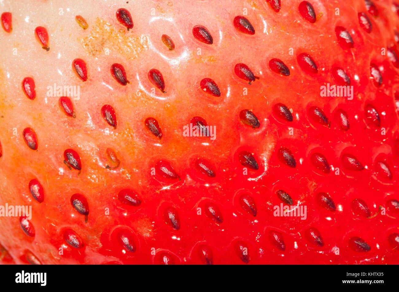 Closeup Strawberry texture, abstract background Stock Photo - Alamy