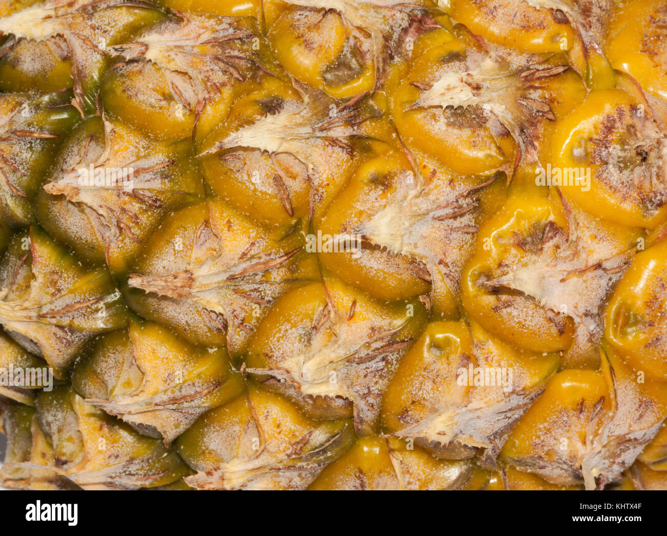 Closeup yellow Pineapple Texture pattern Stock Photo - Alamy