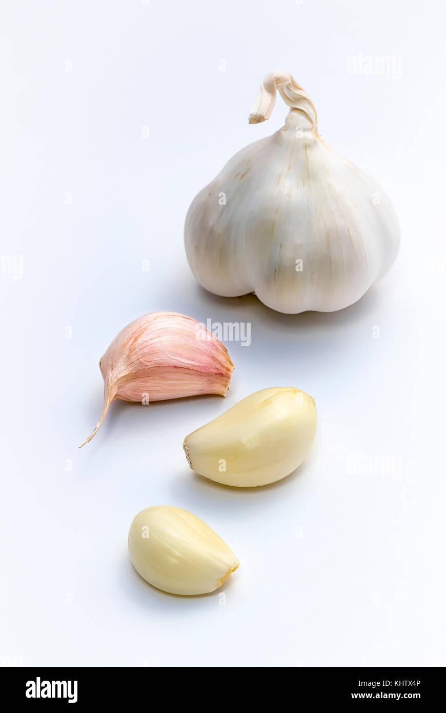 Garlic (Allium sativum) isolated on white background, clove and head ...
