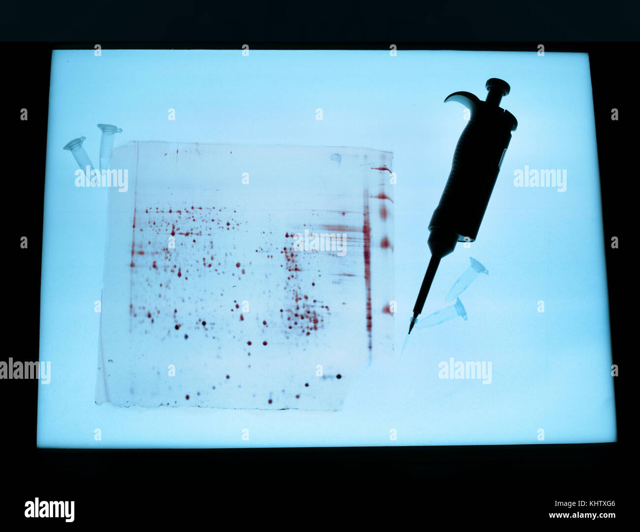 Proteomics hi-res stock photography and images - Alamy