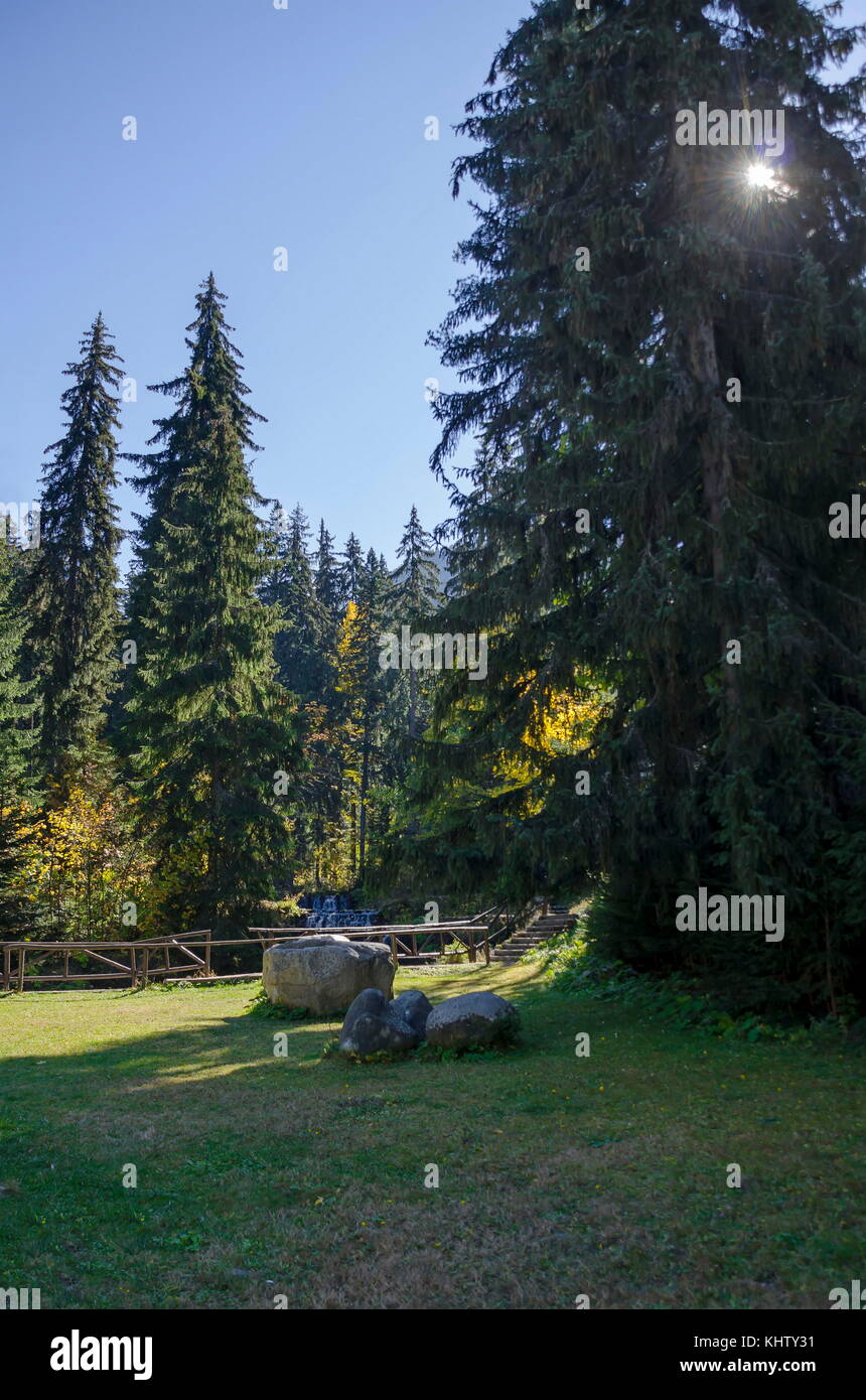 Old park Tsarska or Royal Bistritsa with terraced river and differently ...