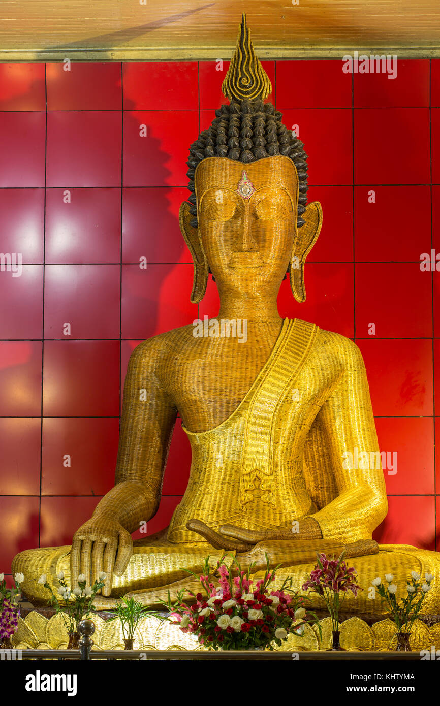 Pauk design hi-res stock photography and images - Alamy