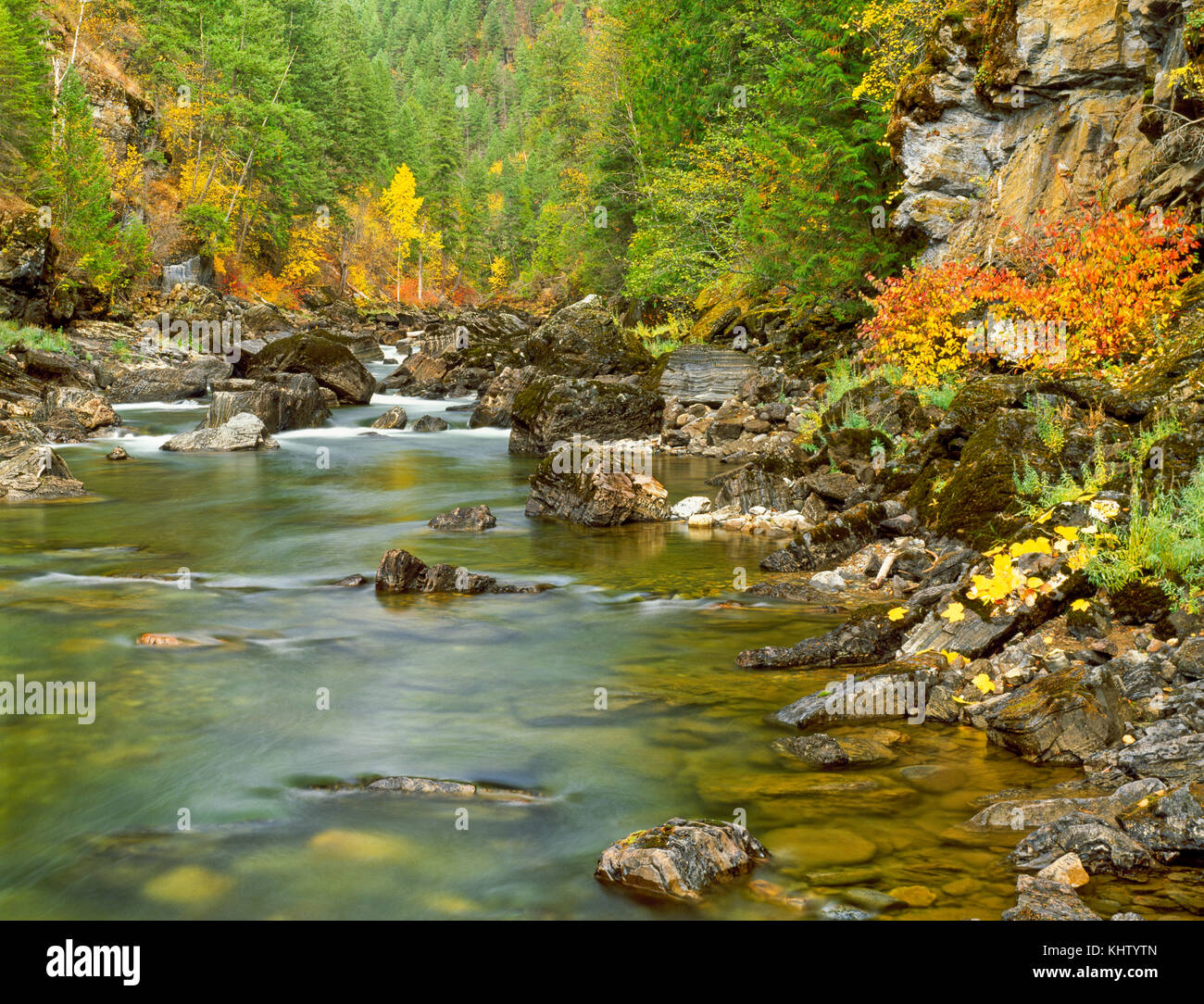 Yaak High Resolution Stock Photography and Images - Alamy