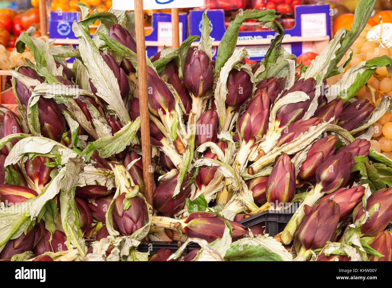 Sardinian farmers hi-res stock photography and images - Alamy