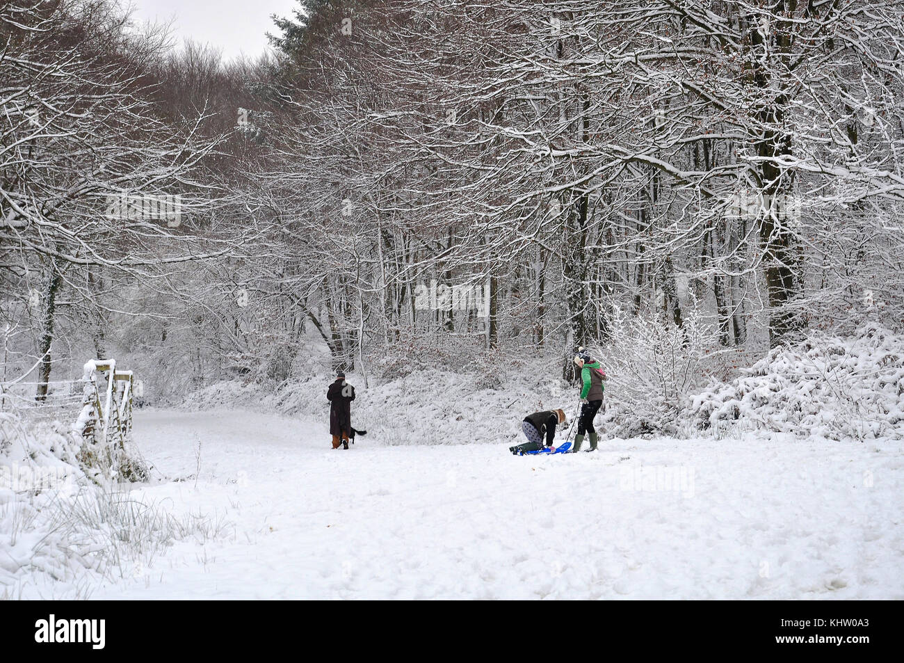 A family enjoying the snow a covered forest in Stoke Park woods ...