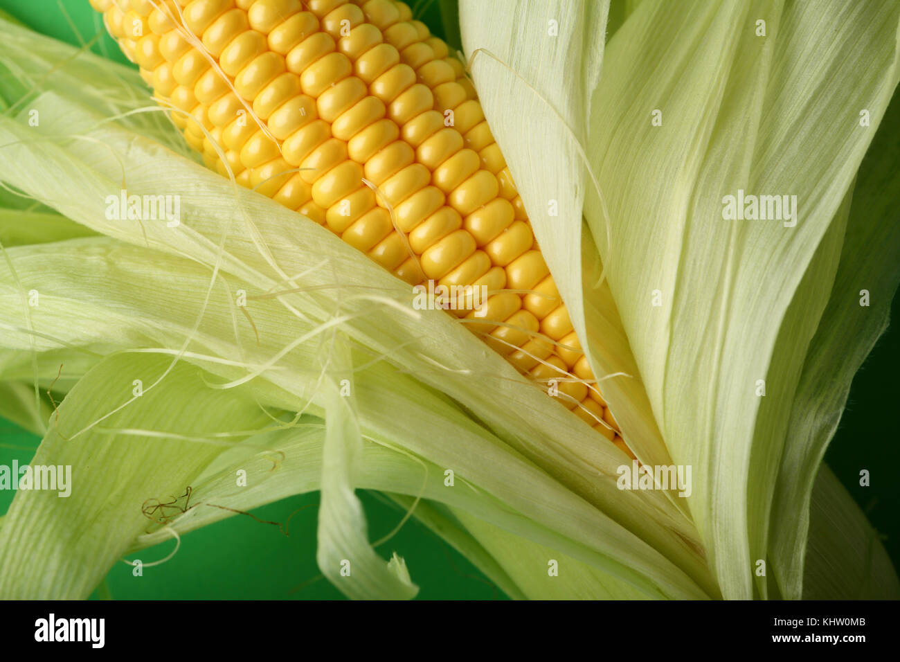 Fresh organic corn cob closeup, food closeup Stock Photo - Alamy