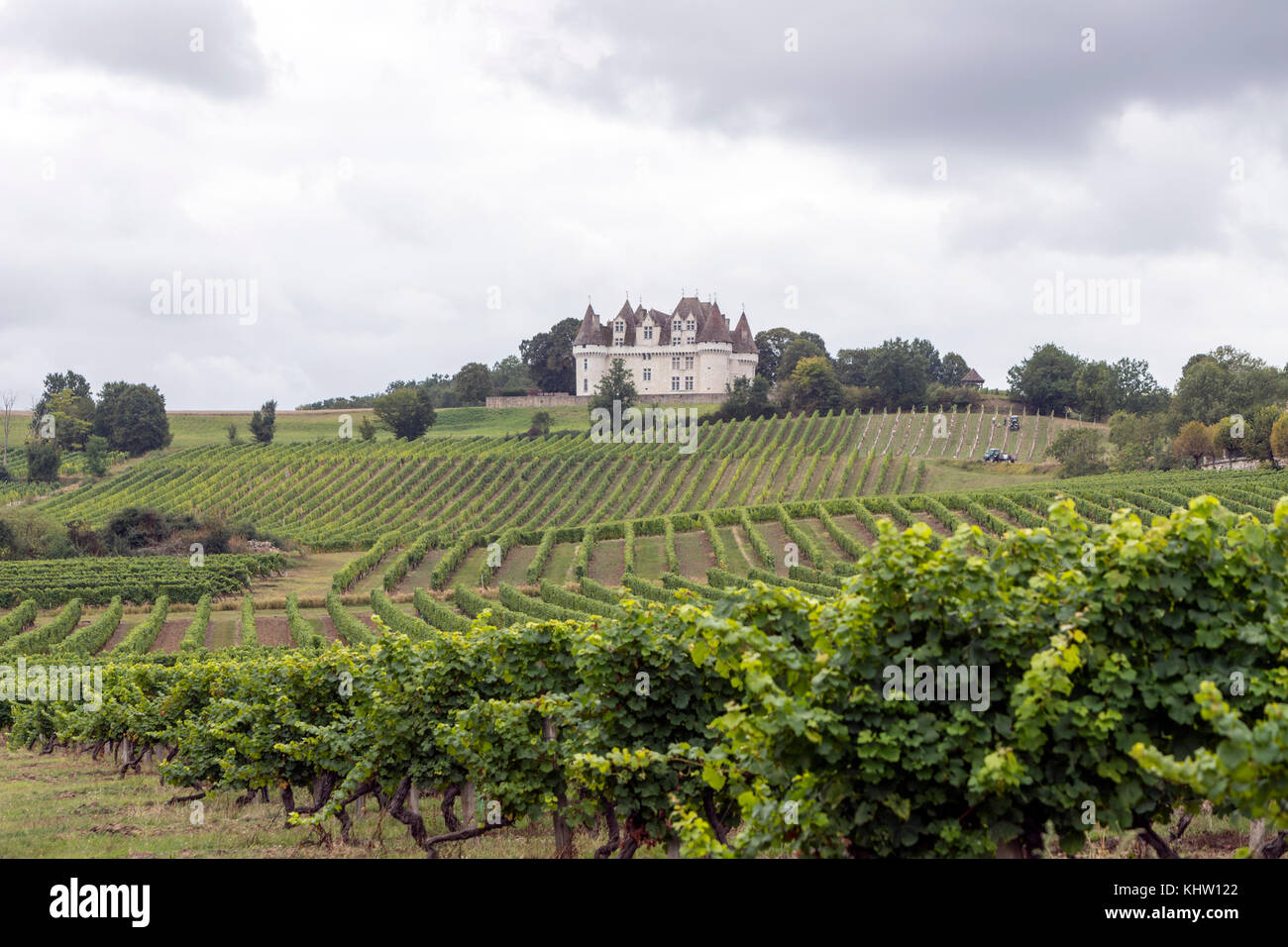 Monbazillac vineyard hi-res stock photography and images - Alamy