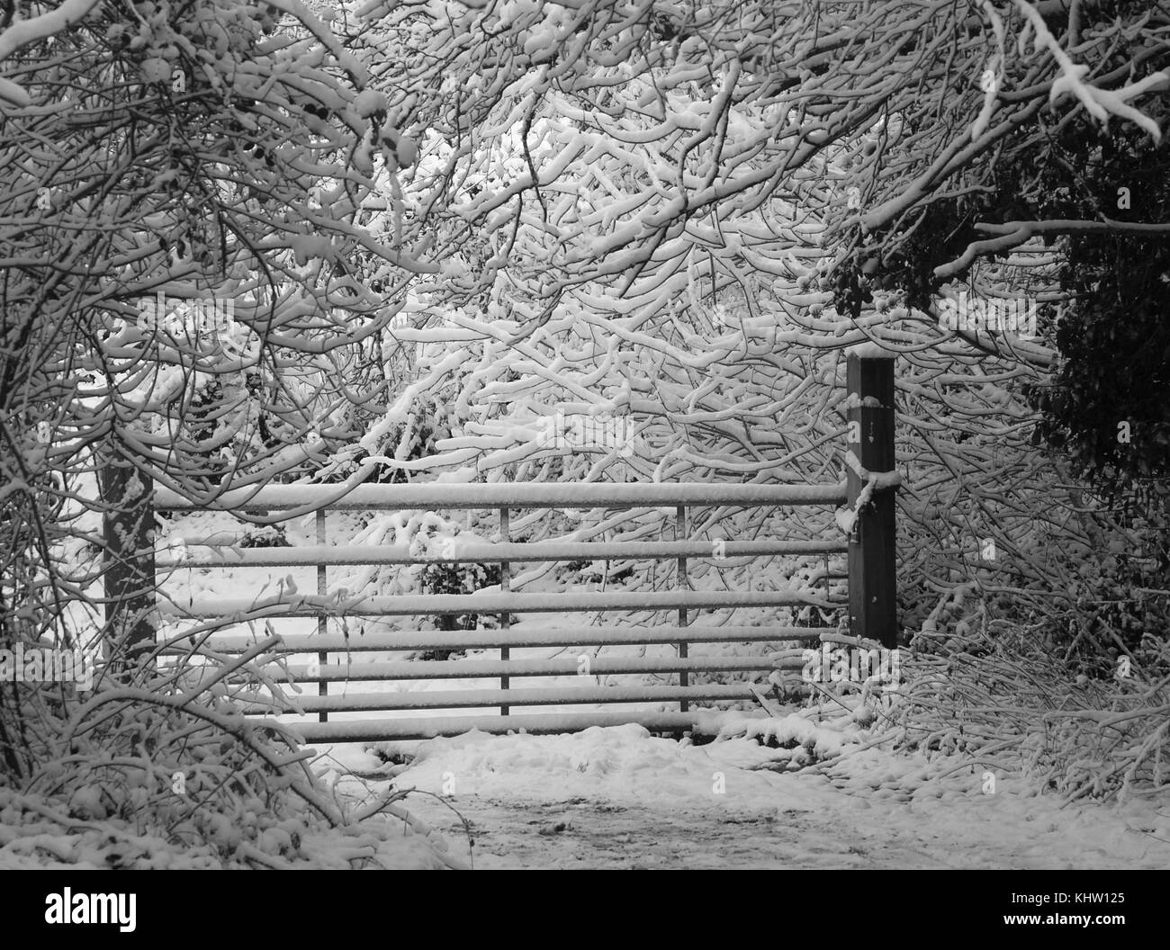 Alveston hi-res stock photography and images - Alamy