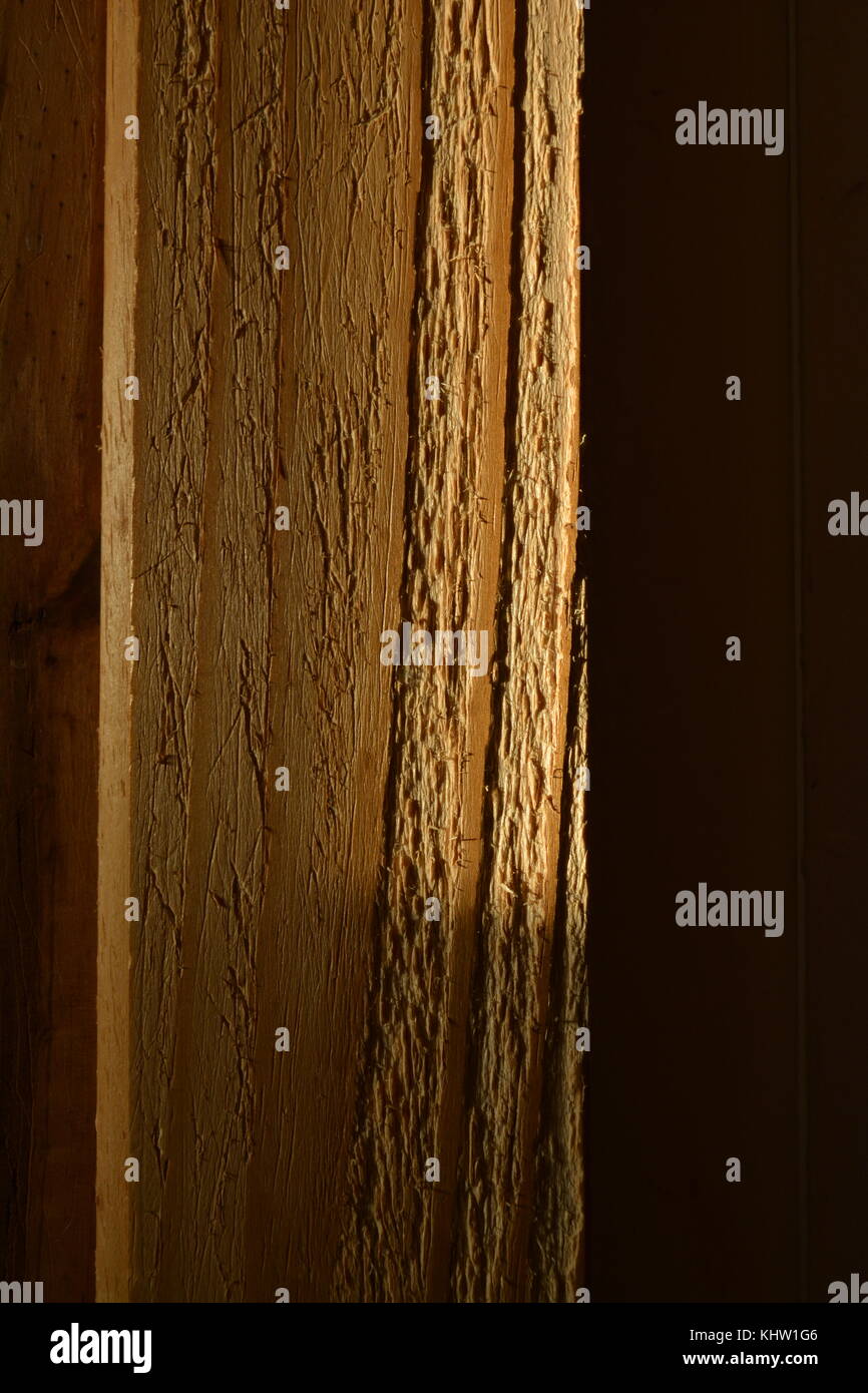 wooden interior door badly suffering from cat claw scratching Stock ...