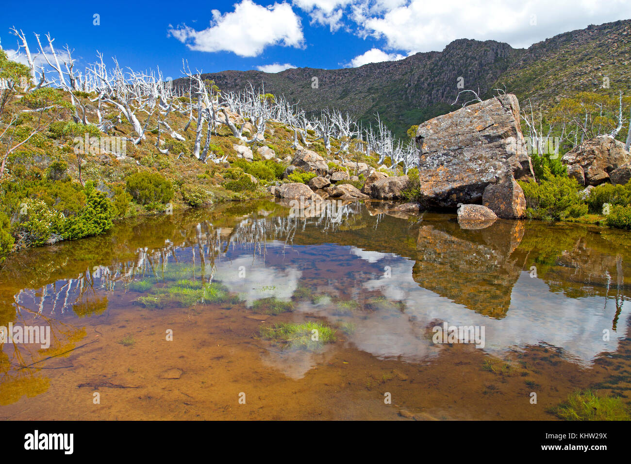 Lake on the Tarn Shelf in Mt Field National Park Stock Photo - Alamy