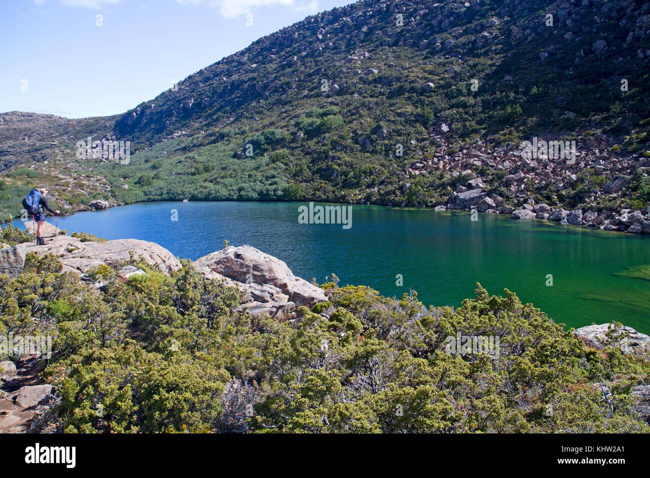 Hiker on the Tarn Shelf in Mt Field National Park Stock Photo - Alamy