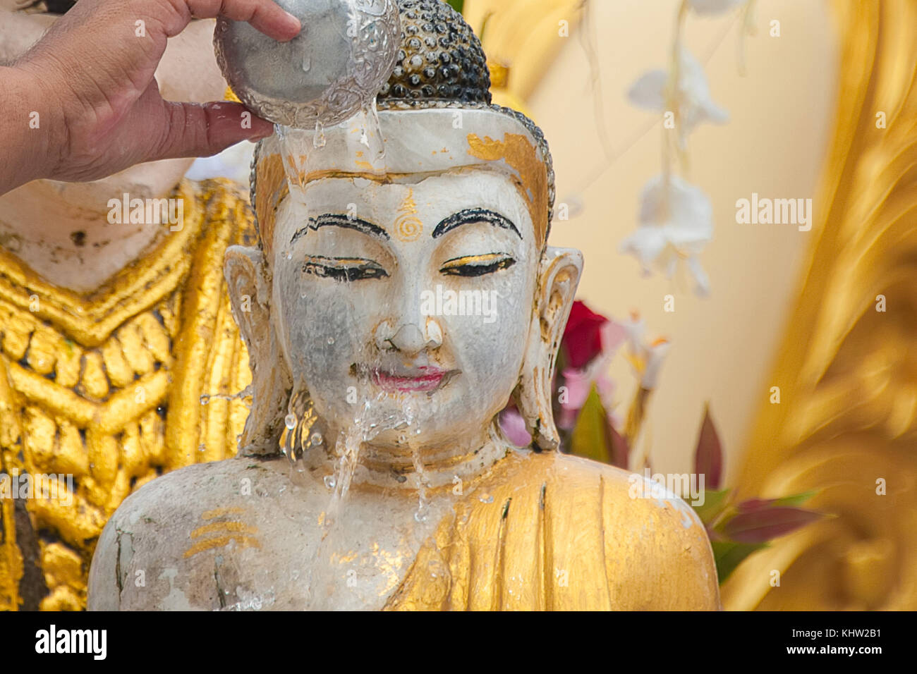 Monkhhod hi-res stock photography and images - Alamy